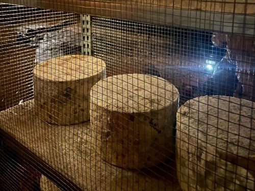 Cave-aged Cheddar | Cheese at Kents Cavern | Torquay, Devon