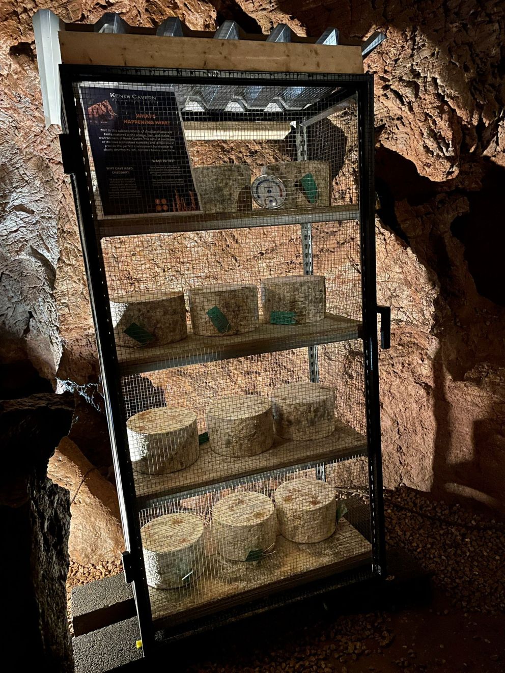 Kents Cavern Highlights from 2024 | Prehistoric Caves Torquay