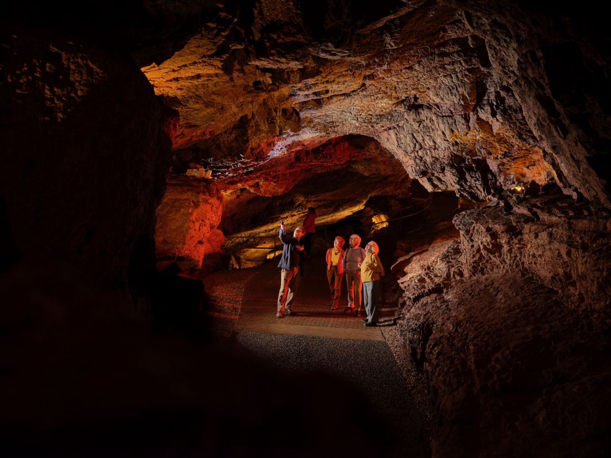 Kents Cavern | Prehistoric Cave, Family Days Out & Heritage Attraction