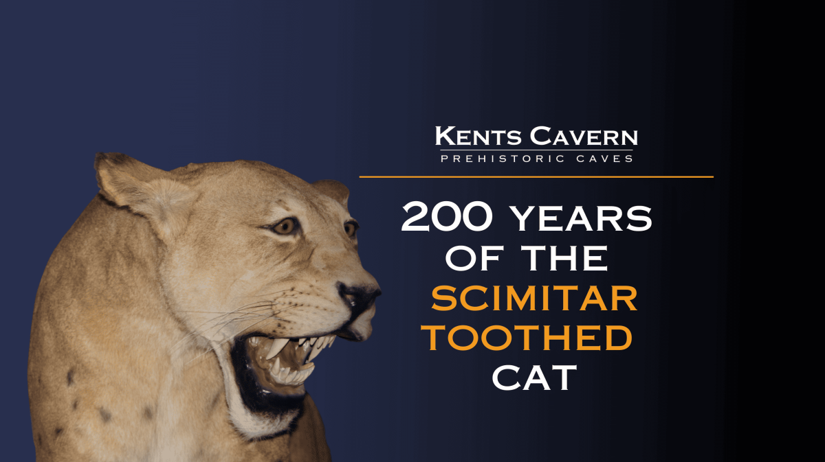 Scimitar-toothed Cat | 200 years since discovery