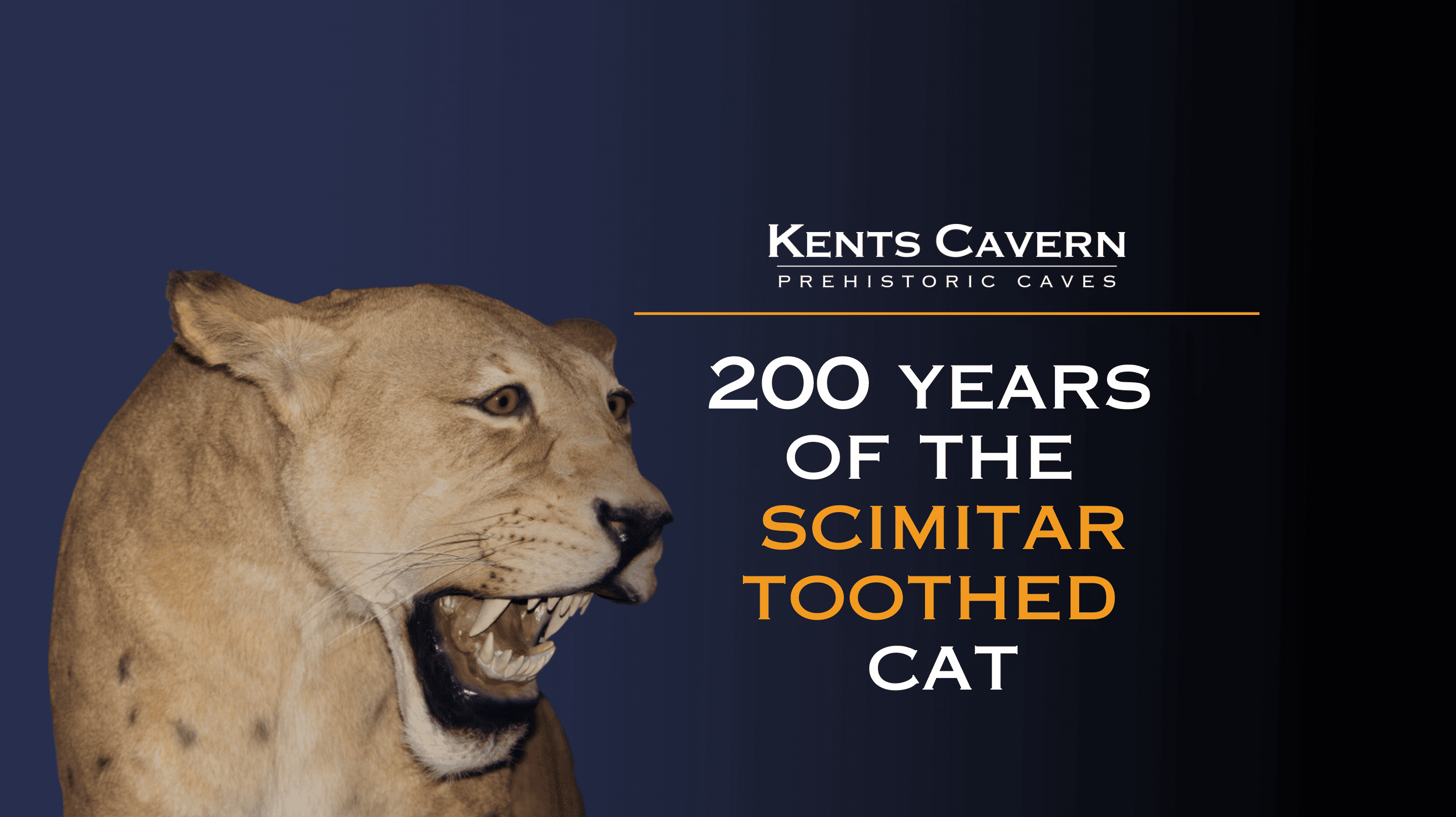 Scimitar-toothed Cat | 200 years since discovery