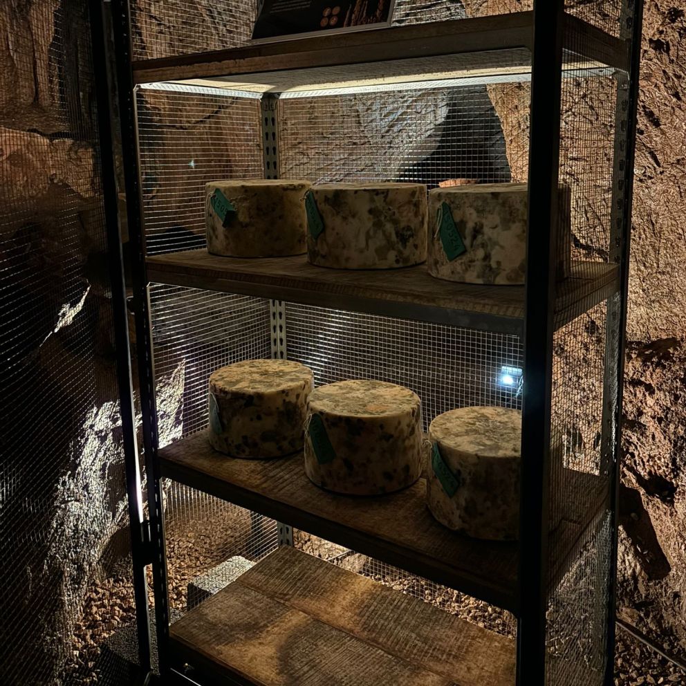 Cheese in the Caves: Introducing Kents Cavern Cave-Aged Cheddar