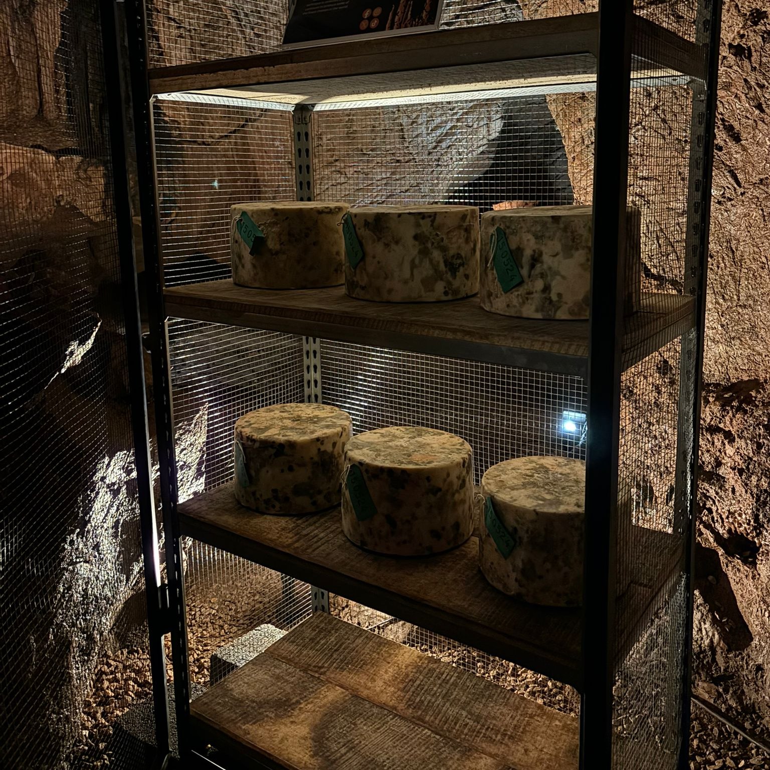 Cheese in the Caves: Introducing Kents Cavern Cave-Aged Cheddar