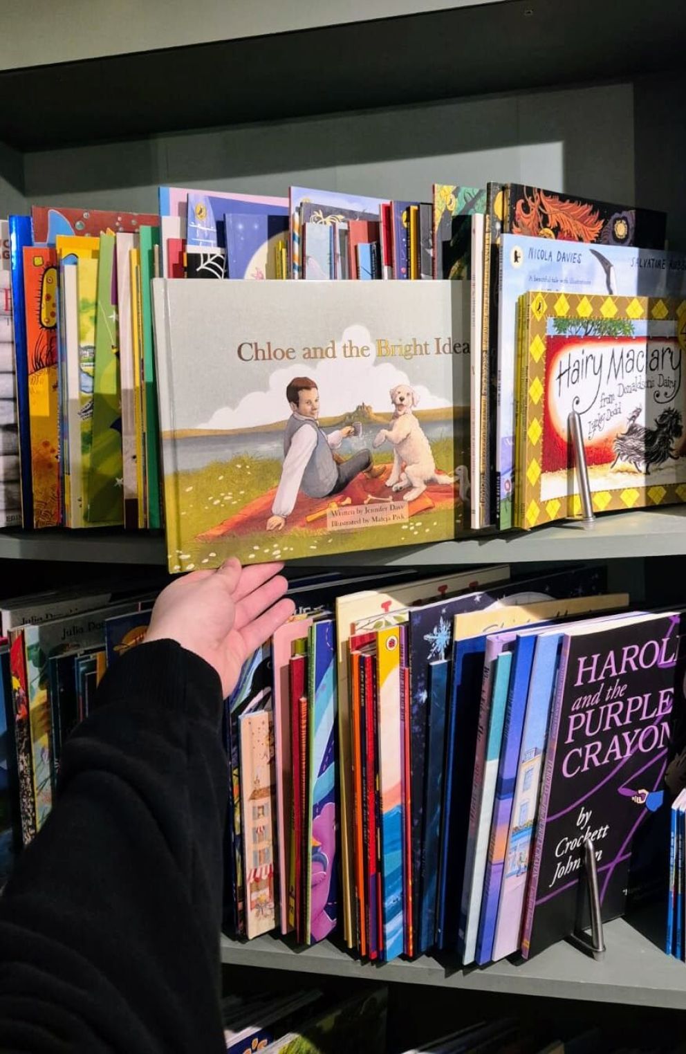 World Book Day at Kents Cavern | Free Storytelling in Torquay!